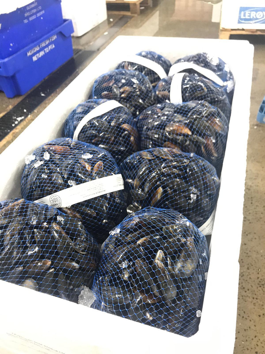 Mussels : Whole : Rope, Grown – MCB Fish Shop